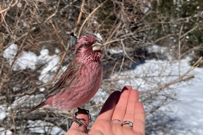 Ala Archa Nature Park Essential Tour - The Sum Up