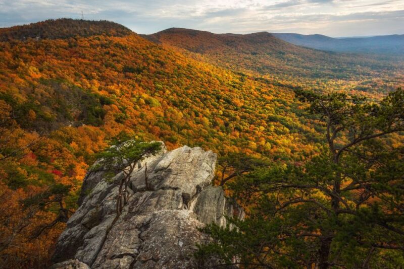 Alabama: 3-Day East Alabama Family Fun Multi-Attraction Pass - Making the Most of Your Pass