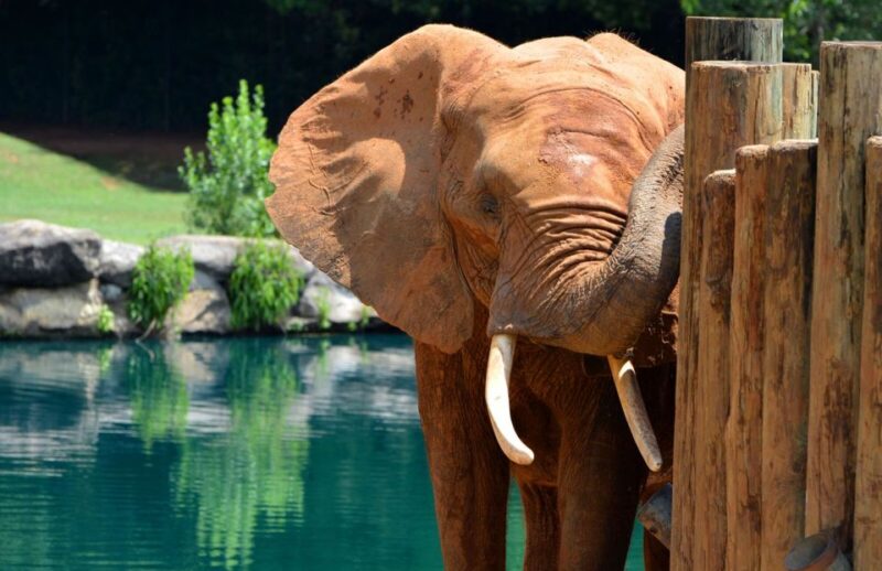 Alabama: 3-Day Montgomery City Multi-Attraction Pass - Final Thoughts: Who Is This Pass For?