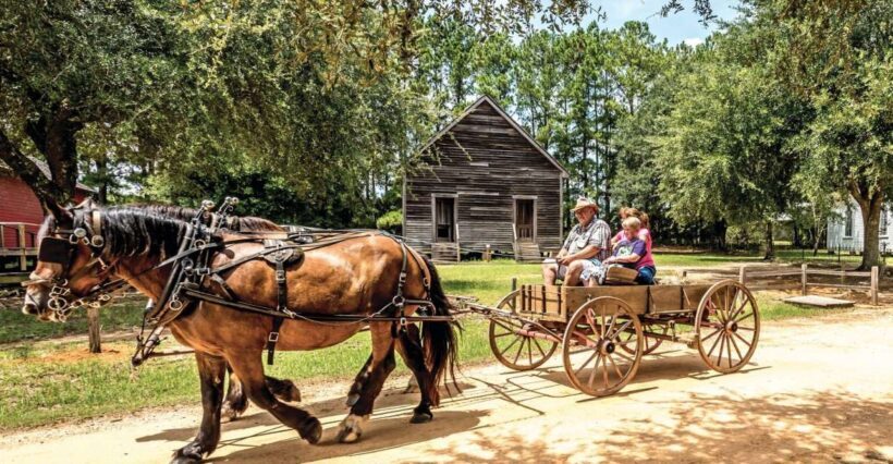 Alabama: Dothan-Eufaula Area Multi-Attraction Pass - A Closer Look at the Attractions