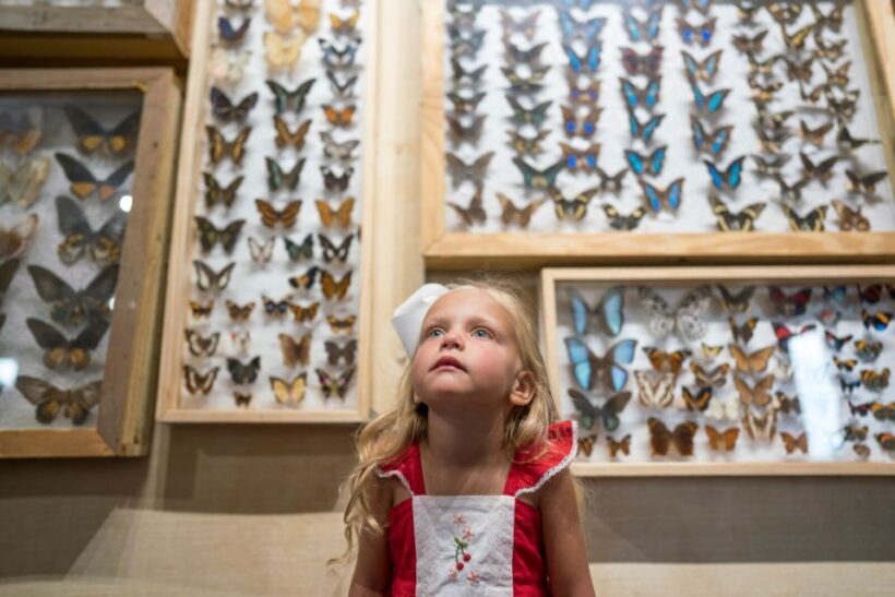 Alabama: Gulf Shores/Orange Beach Area Multi-Attraction Pass - What Travelers Are Saying