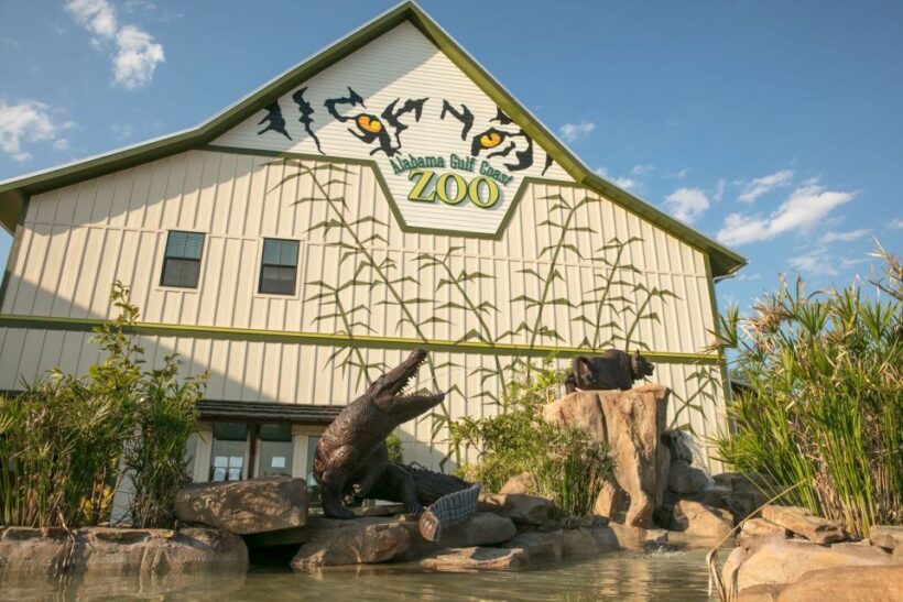 Alabama: Gulf Shores/Orange Beach Area Multi-Attraction Pass - Who Will Love This Pass?