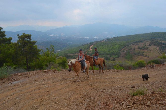 Alanya 3 Hour Horse Back Riding - Key Points