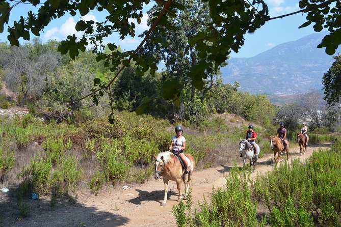 Alanya 3 Hour Horse Back Riding - Suitability for All Levels of Riders
