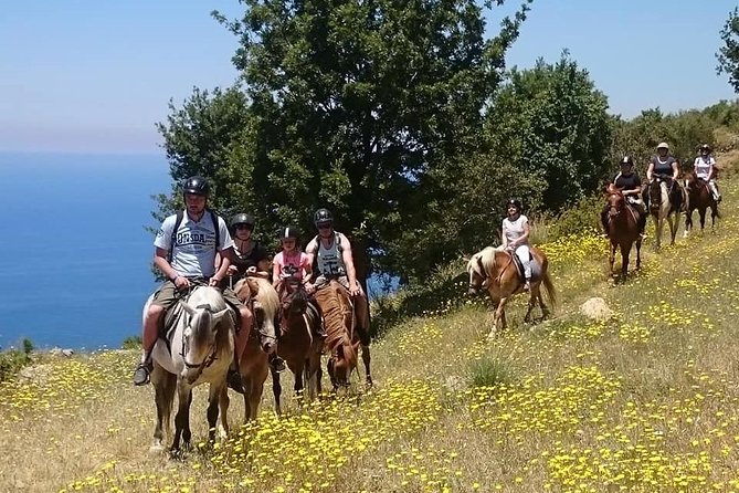 Alanya 3 Hour Horse Back Riding - Meeting and Pickup Logistics
