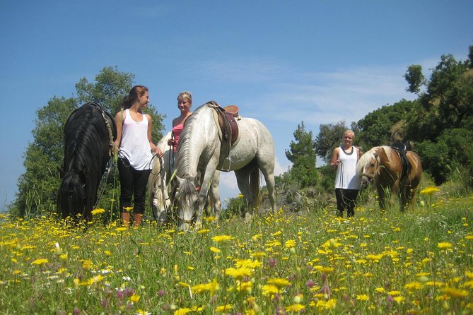 Alanya 3 Hour Horse Back Riding - Participant Feedback and Experiences
