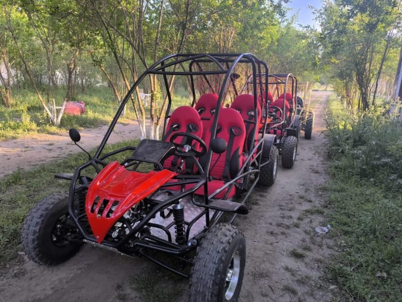 Alanya Buggy Safari: Thrill by River & Muddy Forest - Is This the Right Tour for You?