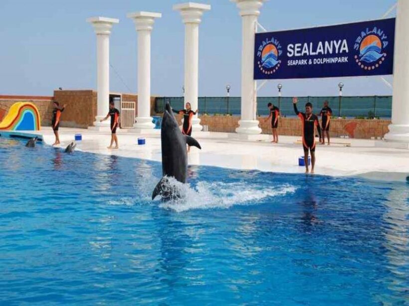 Alanya: Dolphin and Seal Show Ticket with Hotel Transfers - The Journey to Sealanya Dolphinpark