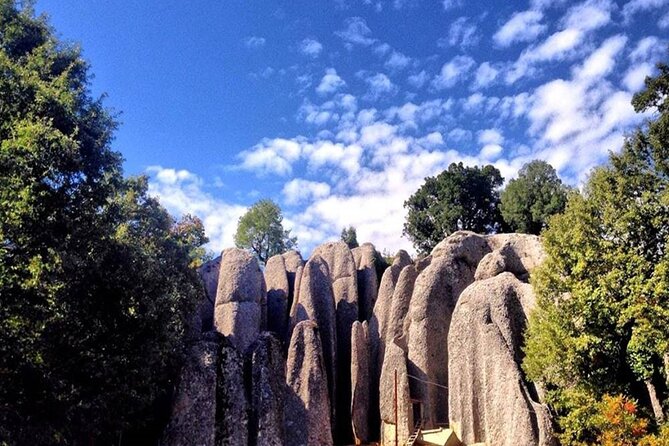 Alanya Eagle Canyon Tour With Rafting Or Selge Ancient City - Reviews and Feedback