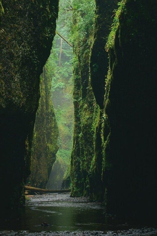 Alanya Green Canyon Boat tour with Lunch and Swimming Breaks - Practical Details for Travelers