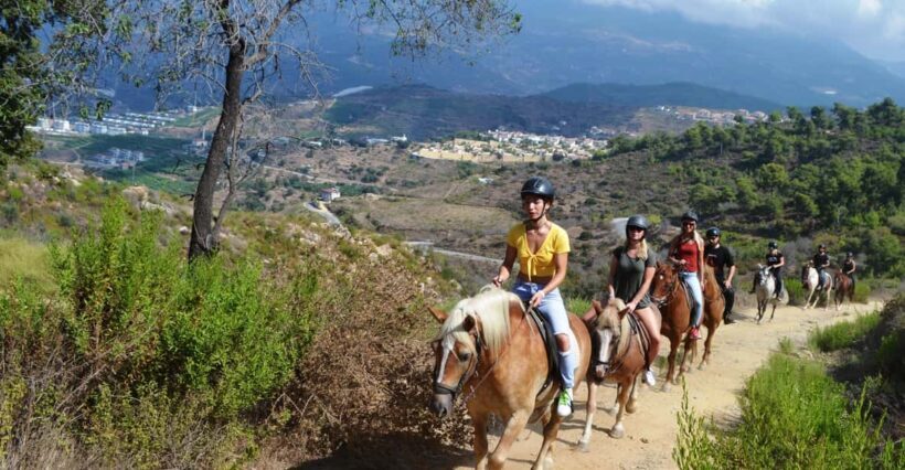 Alanya: Horse Riding Club Transfer Service - The Experience: What You Can Expect from the Horse Riding Club Transfer Service