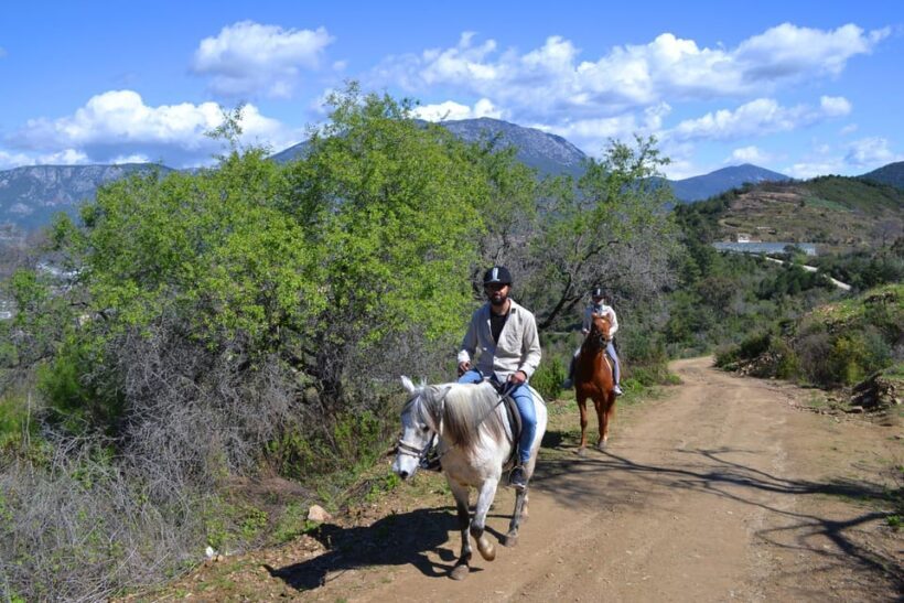 Alanya: Horse Riding Club Transfer Service - The Itinerary in Detail