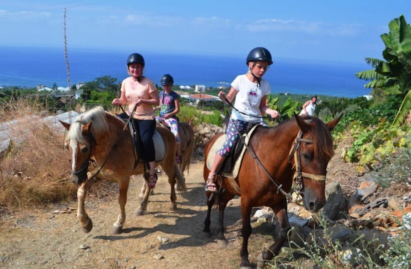 Alanya: Horse Riding Club Transfer Service - Who Will Enjoy This Tour?