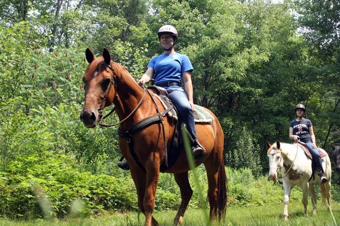 Alanya Horse Riding Experience With Free Hotel Transfer - Inclusions and Services Provided