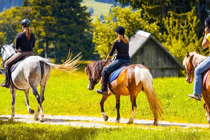 Alanya Horse Riding Experience With Free Hotel Transfer - Customer Feedback and Experiences