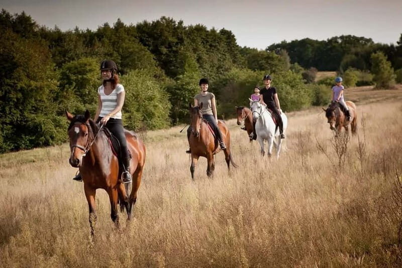 Alanya: Horse Riding Tour with Hotel Transfers - What Makes This Tour Stand Out