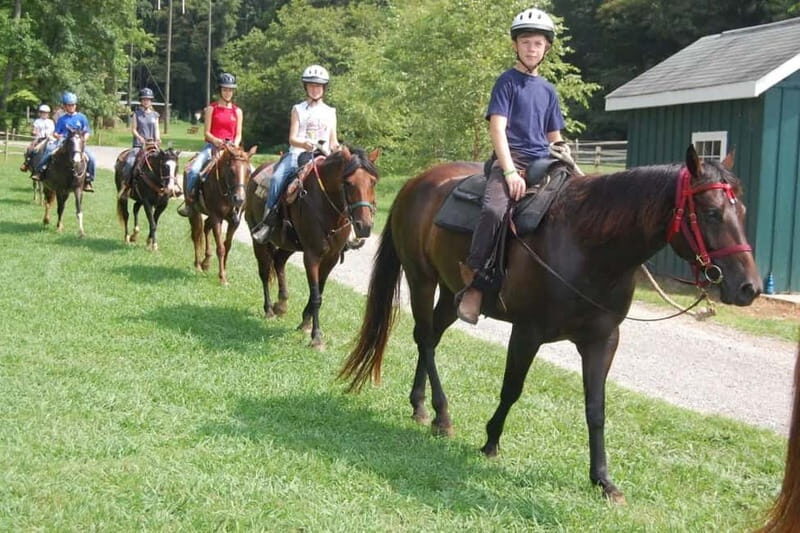 Alanya: Horse Riding Tour with Hotel Transfers - Who Will Love This Tour?