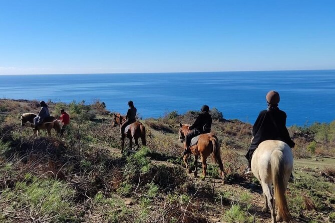 Alanya Horseback Riding in the Taurus Mountains with Transfer - Final Thoughts: Who’s This Tour For?