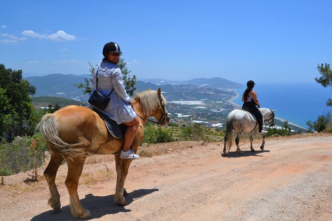 Alanya Horseback Riding in the Taurus Mountains with Transfer - FAQ