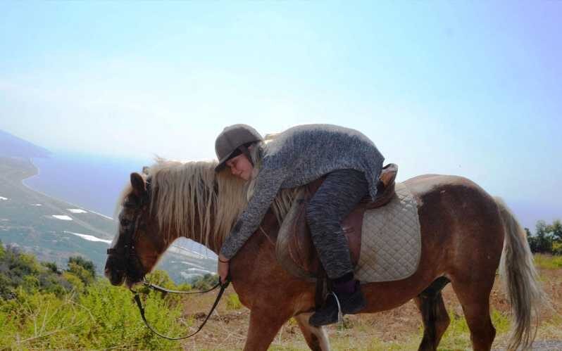 Alanya: Private Horse Safari - Introduction