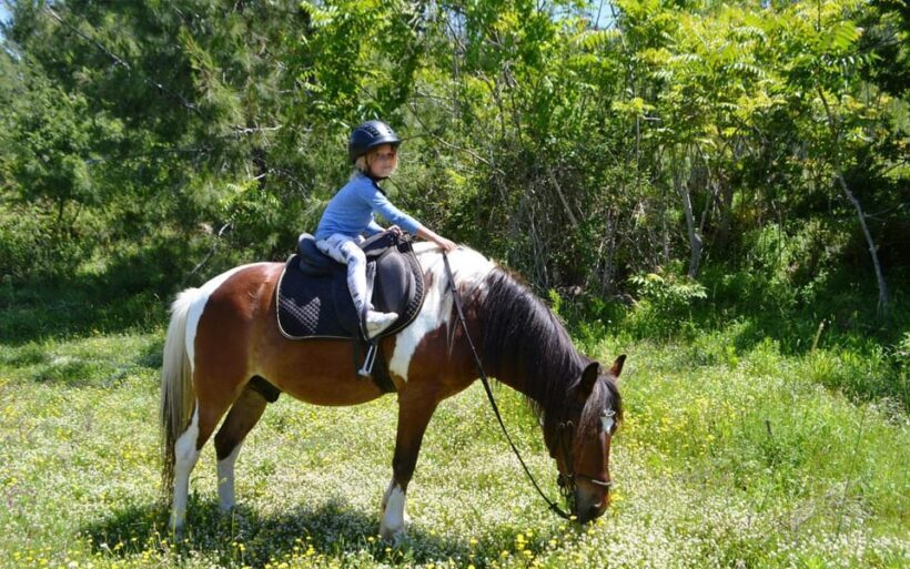 Alanya: Private Horse Safari - Who Should Consider This Tour?