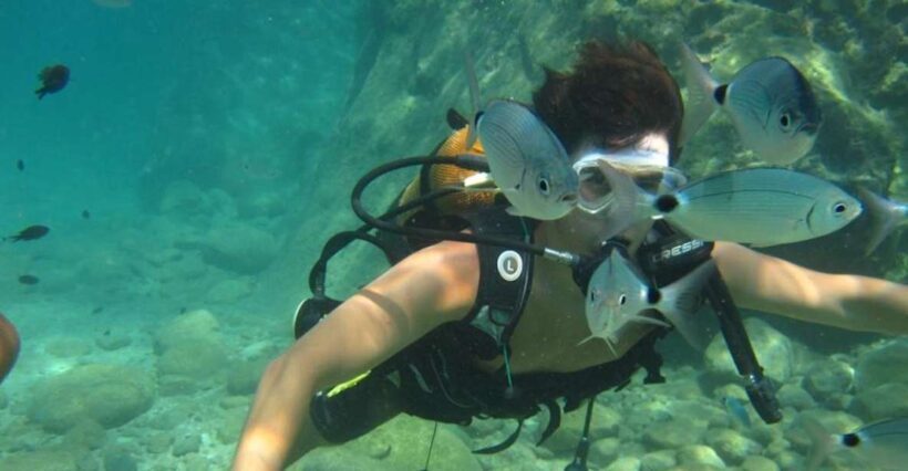 Alanya: Scuba Diving Experience with Lunch - What the Tour Looks Like