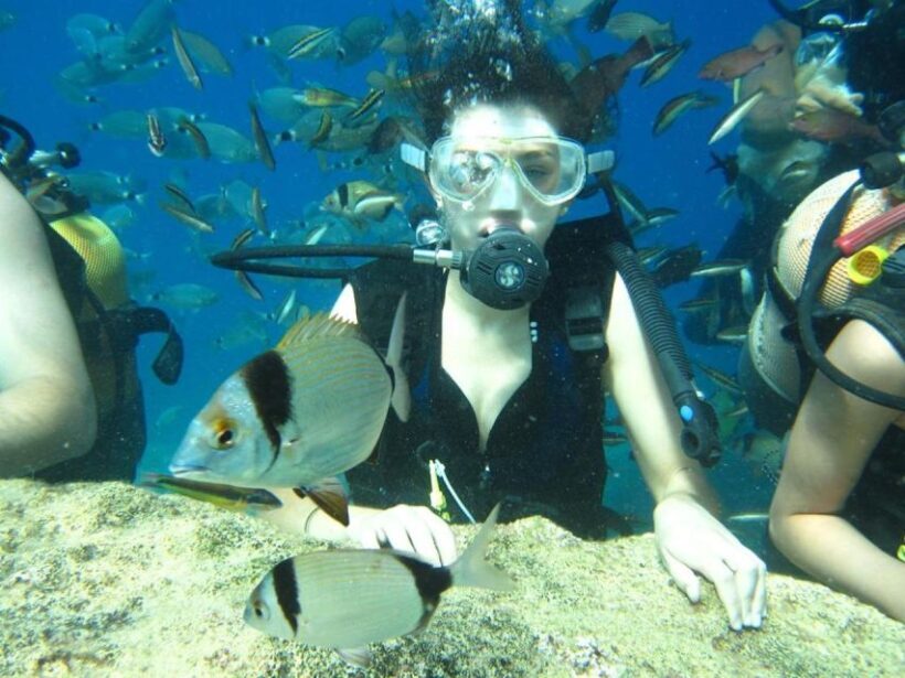 Alanya: Scuba Diving Experience with Lunch - Why This Tour Might Be Perfect for You