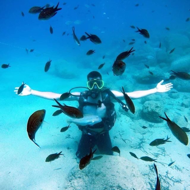 Alanya: Scuba Diving Experience with Lunch - Final Thoughts