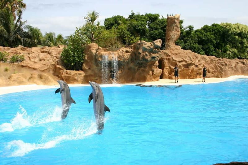 Alanya: Sealanya Dolphinpark Dolphin Show Tour - What to Expect from the Tour