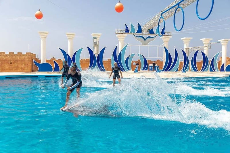 Alanya: Sealanya Dolphinpark Dolphin Show Tour - FAQs