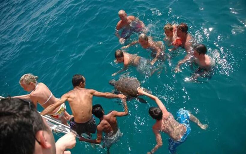 Alanya:Catamaran Tour with Lunch&Soft Drinks Animation Shows - The Experience Provider