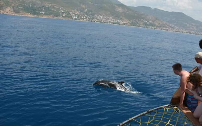 Alanya:Catamaran Tour with Lunch&Soft Drinks Animation Shows - Who Will Truly Enjoy This Tour?