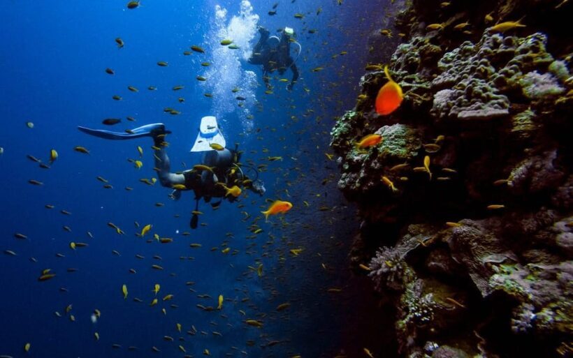 Alanya:Scuba Diving Boat Trip with Lunch and Transfer - FAQ