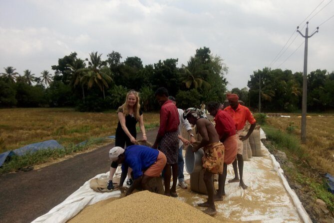 Alappuzha Backwaters in Private Houseboat with Lunch, Pick & Drop - Key Points