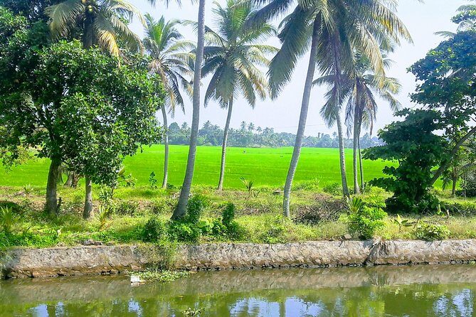 Alappuzha Backwaters in Private Houseboat with Lunch, Pick & Drop - FAQ