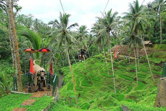 Alas Harum Bali Cretya Tegalalang Rice Terrace Ubud Swing Ticket - Overview of the Experience
