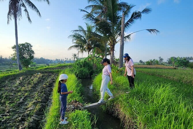 Alas Harum Bali Cretya Tegalalang Rice Terrace Ubud Swing Ticket - Authentic Feedback from Travelers