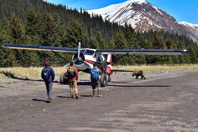 Alaska Bear Viewing Adventure from Seward - The Value of This Tour