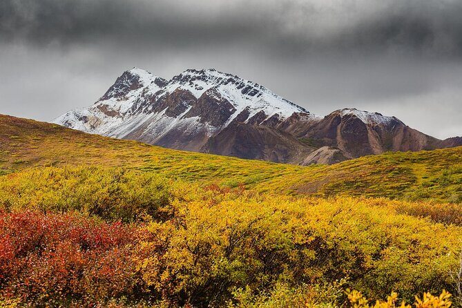 Alaska Fall Colors with Northern Lights 5 Days - Exploring the Itinerary in Detail