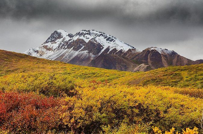 Alaska Fall Colors with Northern Lights 5 Days - FAQ