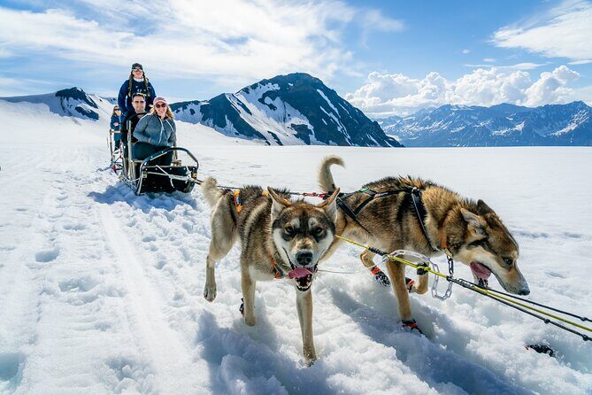 Alaska Helicopter and Glacier Dogsled Tour - SEWARD AREA - Key Points: