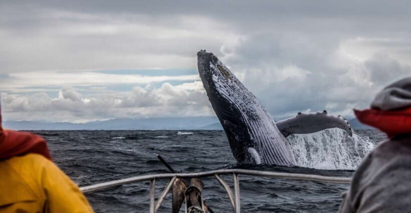 Alaska: Kenai Fjords & Denali National Park 5 Day Adventure - Key Points