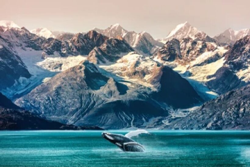 Alaska: Kenai Fjords & Denali National Park 5 Day Adventure - Day 1: Anchorage to Denali via Talkeetna