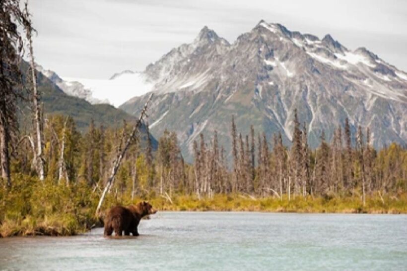 Alaska: Kenai Fjords & Denali National Park 5 Day Adventure - Day 4: Adventure Choice Day — Whitewater, Flight, or Hike