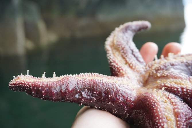 Alaska Ocean Wilderness Expedition - Knowledgeable Naturalist Guides