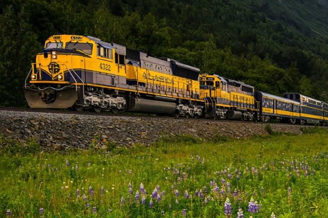 Alaska Railroad Anchorage to Seward One Way - Traveler Reviews and Feedback