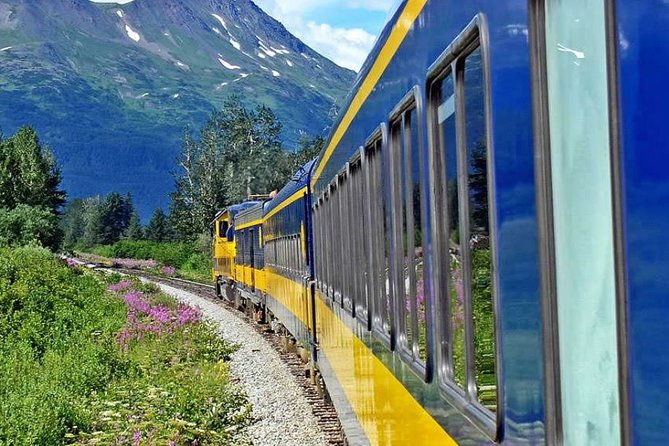 Alaska Railroad Anchorage to Seward One Way - Pricing and Booking Information
