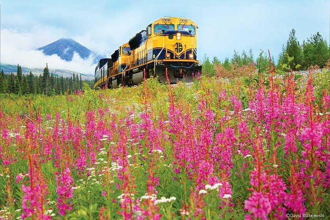Alaska Railroad Anchorage to Seward Round-Trip Same Day Return - Practical Considerations
