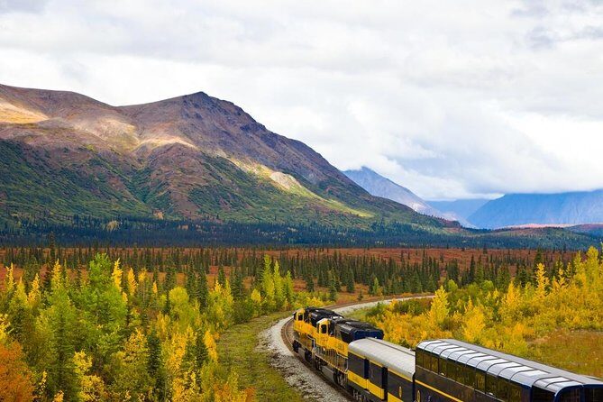 Alaska Railroad Denali to Anchorage One Way - A Deep Dive into the Scenic Experience