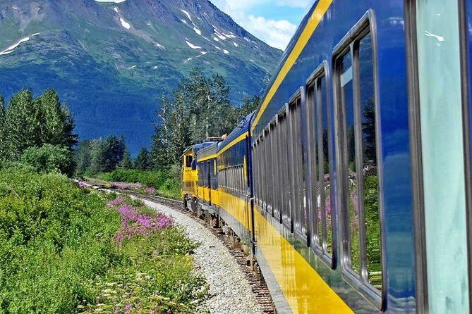 Alaska Railroad Denali to Anchorage One Way - Who Should Consider This Tour?